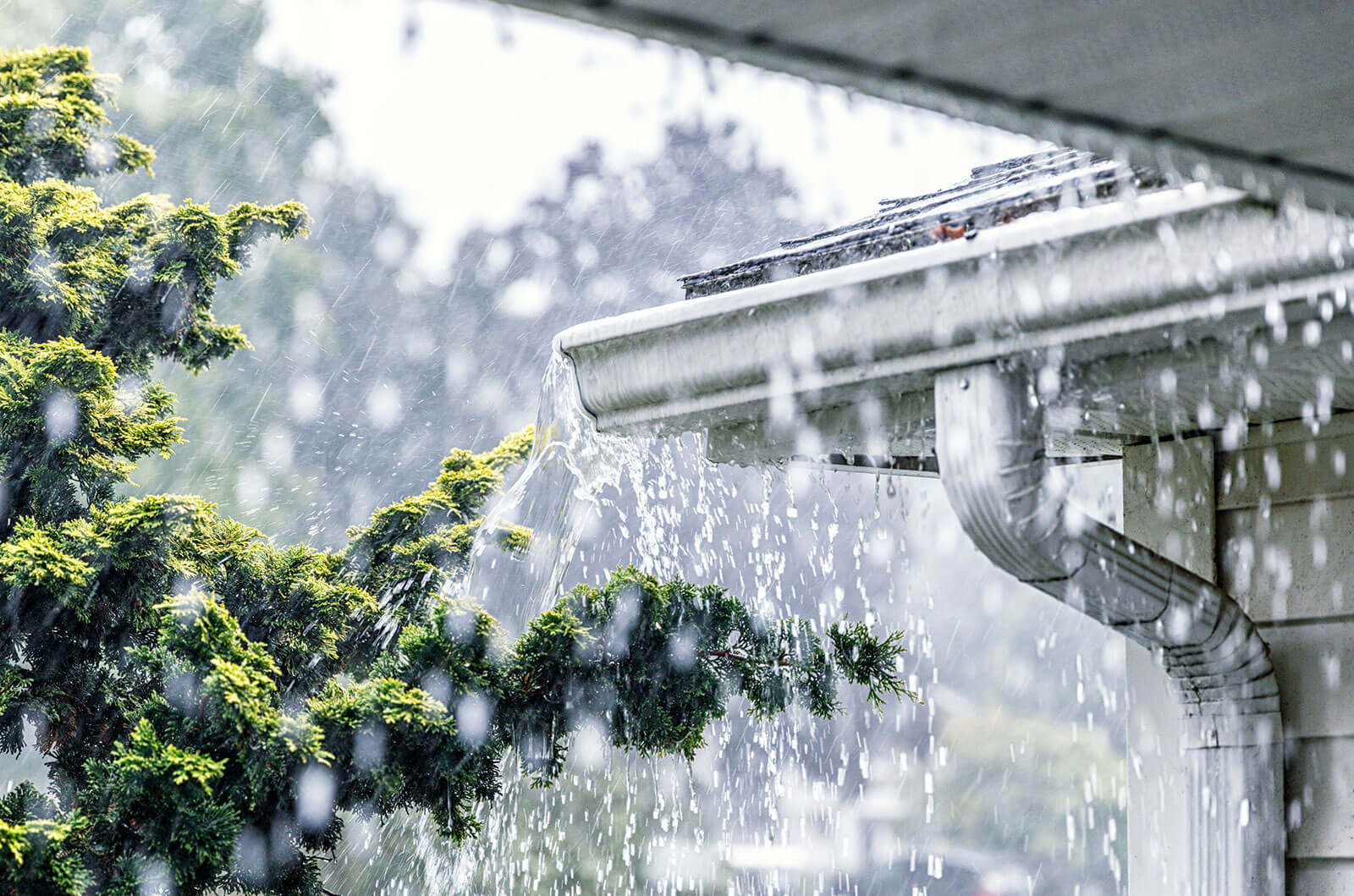 Your roof: Protecting your home from storm damage