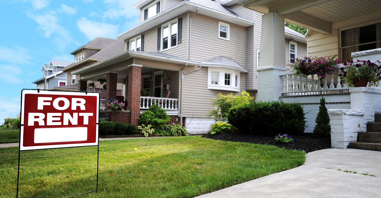 What Is a DP3 Policy?